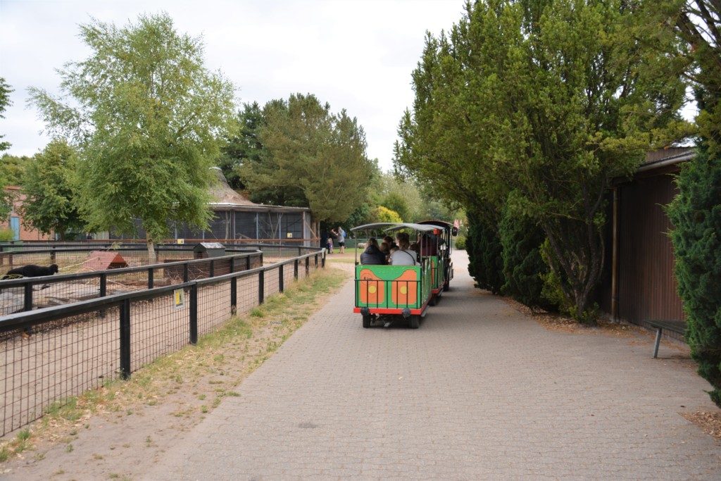 Dagsudflugt til Jyllands Park Zoo - Helles Univers